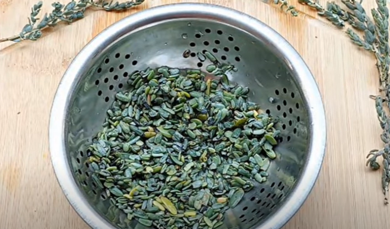 Khari Bhaji Kachori - Oddy uniwraps